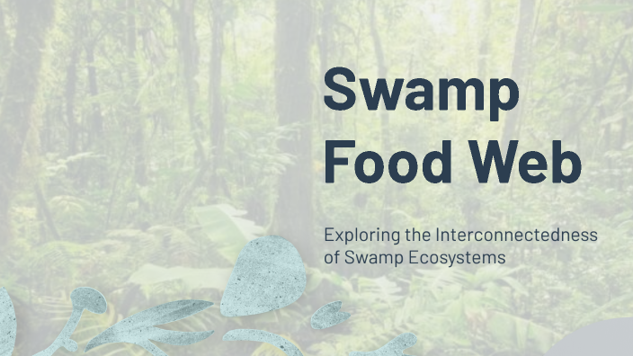Swamp Food Web by aaron McCalla on Prezi