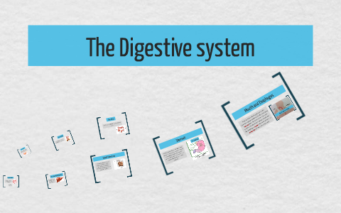 The Digestive system by Brooke Gossett on Prezi