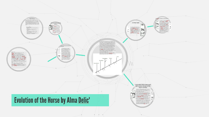 The Evolution of the Horse by Alma Delic' on Prezi