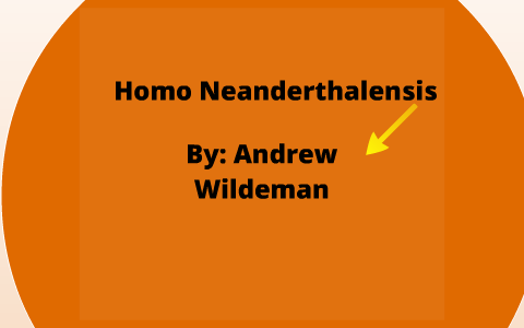 hominid project by Andrew Wildeman on Prezi