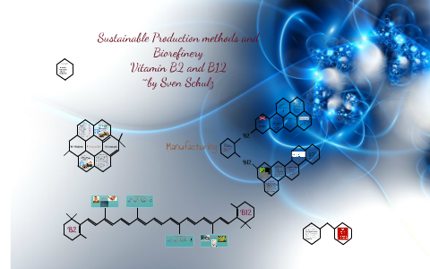Vitamin B2/B12 Biotechnologic Synthesis by Sven Schulz on Prezi