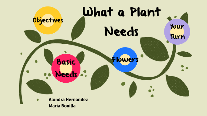 Basic Need of Plants by Alondra Hernandez on Prezi