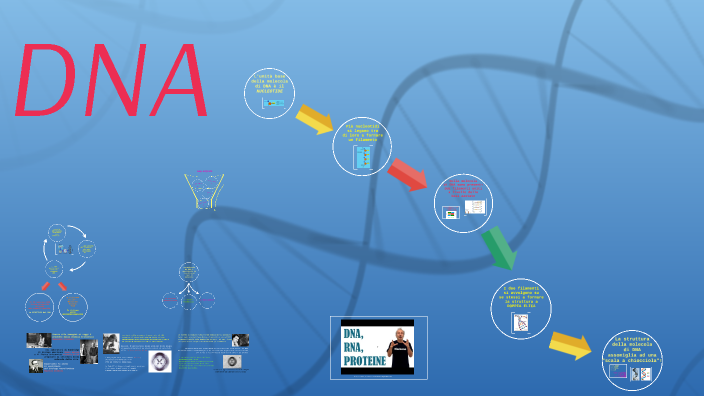 DNA by Silvia Serreli on Prezi