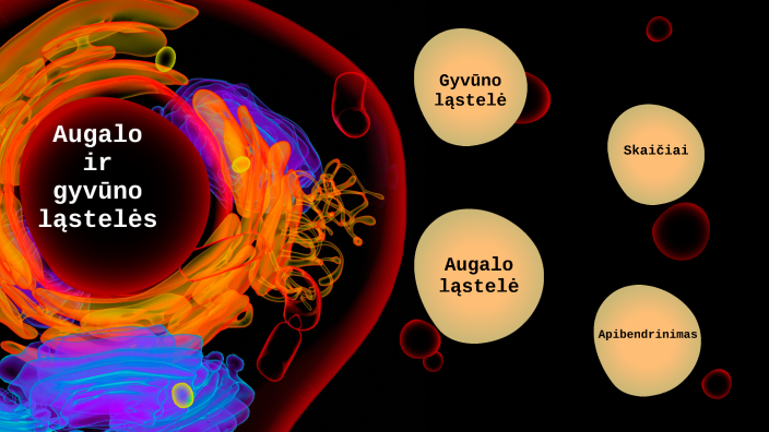 Augalo ir gyvūno ląstelės by Neda Pliatkutė on Prezi