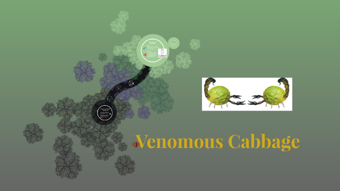 Venomous Cabbage by Olivia Brunner-Gaydos on Prezi