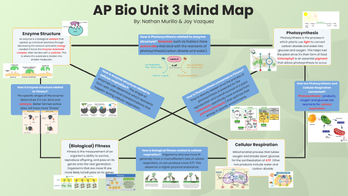 AP Bio Unit 3 Study Map by Nathan Murillo on Prezi