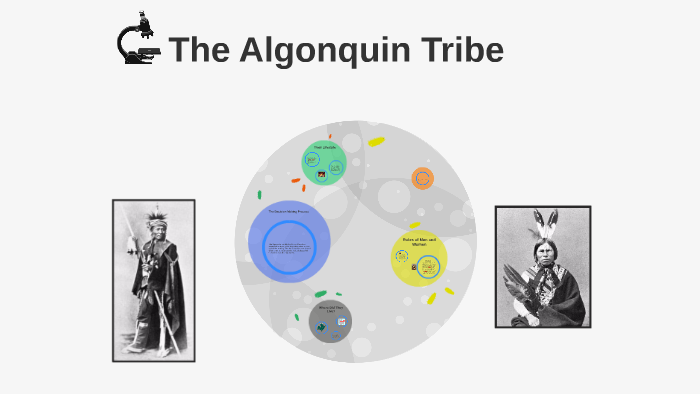 The Algonquin Tribe by Bryan Gonzalez on Prezi