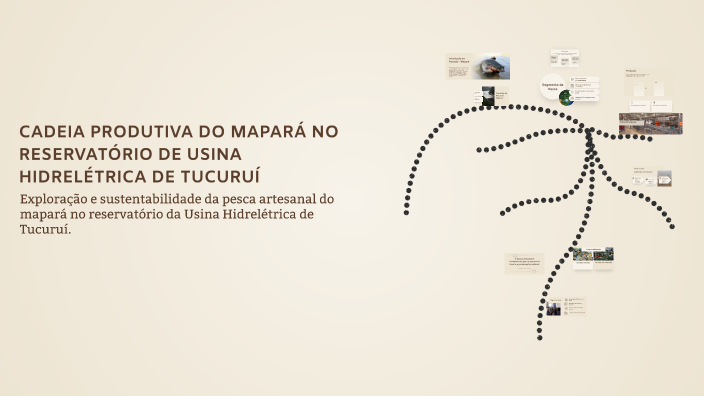 CADEIA PRODUTIVA DO MAPARÁ NO RESERVATÓRIO DE USINA HIDRELÉTRICA DE ...