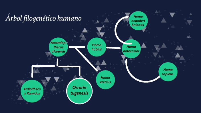 Árbol filogenético humano. by Juan Parejo on Prezi