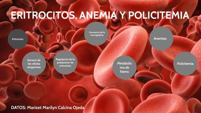 Eritrocitos, anemia y policitemia by MARILYN CALCINA on Prezi