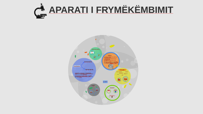 APARATI I FRYMEKEMBIMIT by Erisa Hoxha on Prezi