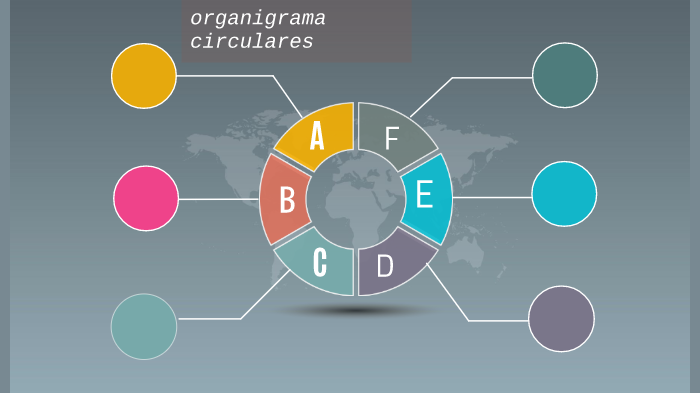 organigrama circular by auri mejia on Prezi