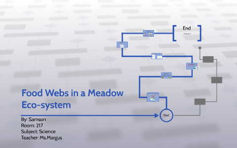 Food Webs in a Meadow by Samson Luo on Prezi