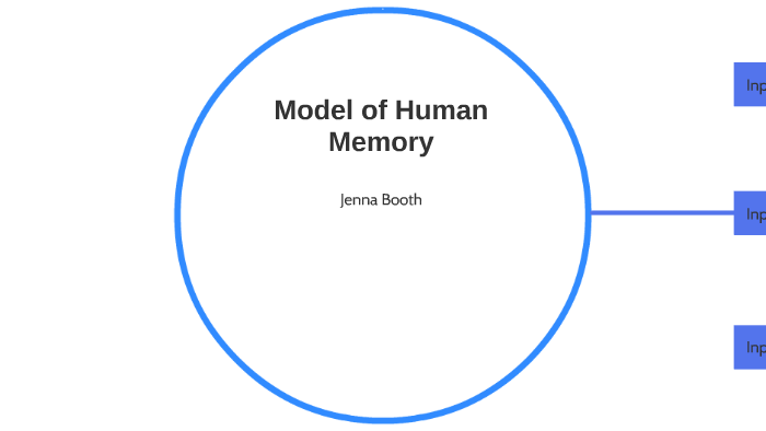 Model of Human Memory by Jenna Booth on Prezi