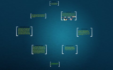 THE LIFE CYCLE OF A FLY by Bruce Jobling