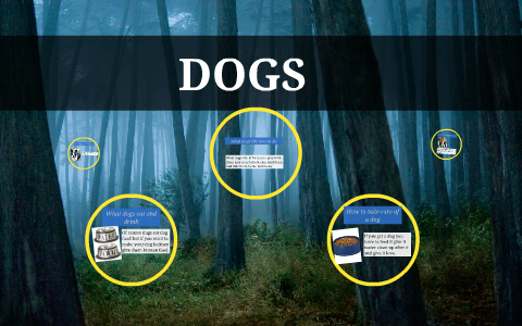 DOGS by on Prezi