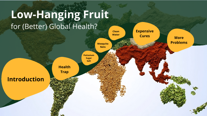 Low Hanging Fruit by Student 185340 on Prezi