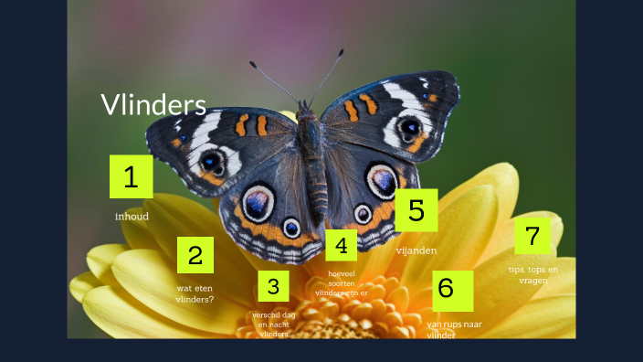 Vlinders by Brent Waersegers on Prezi