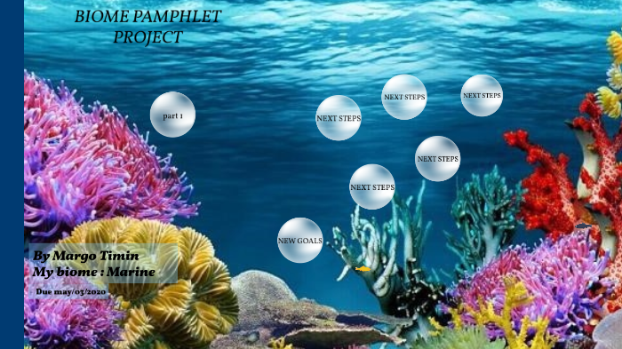 BIOME PAMPHLET PROJECT by Margarita Timin on Prezi