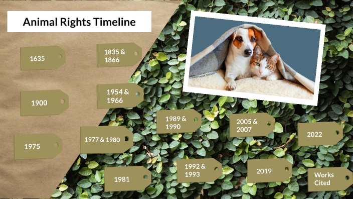 Animal Rights Timeline by Kaitlin Eshleman on Prezi