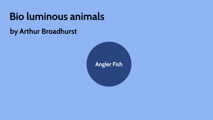 Bio luminous animals by Arthur Broadhurst on Prezi