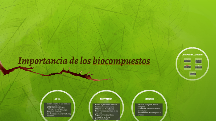 Importancia de los biocompuestos by jaime andres meneses on Prezi