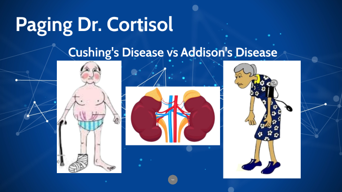 Hyper vs Hypo Adrenalism by Sam Krage on Prezi