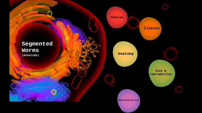 Segmented Worms by Zoe Barnetson on Prezi