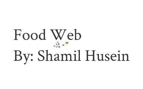 food web by Shamil Husein on Prezi