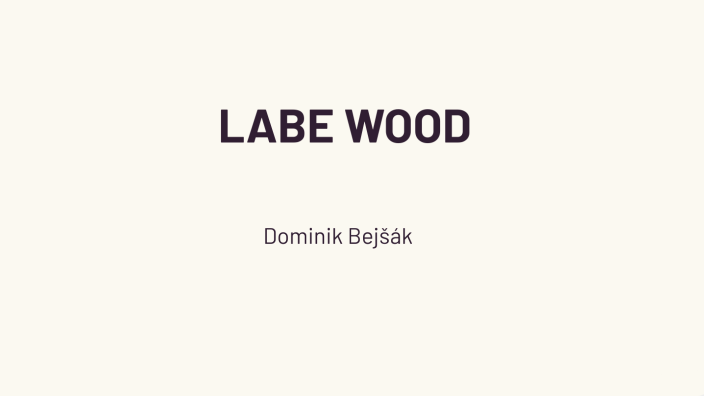 Představení společnosti LABE WOOD by Dominik Bejšák on Prezi
