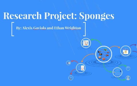 Research Project: Sponges by Alexis G on Prezi