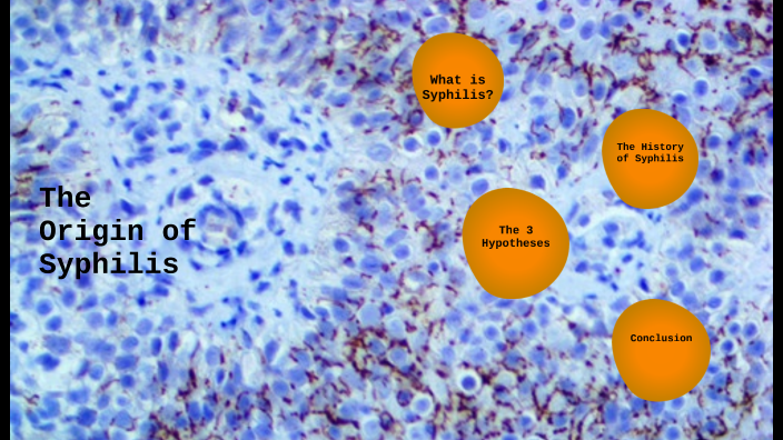 The Origin of Syphilis by Holland H on Prezi