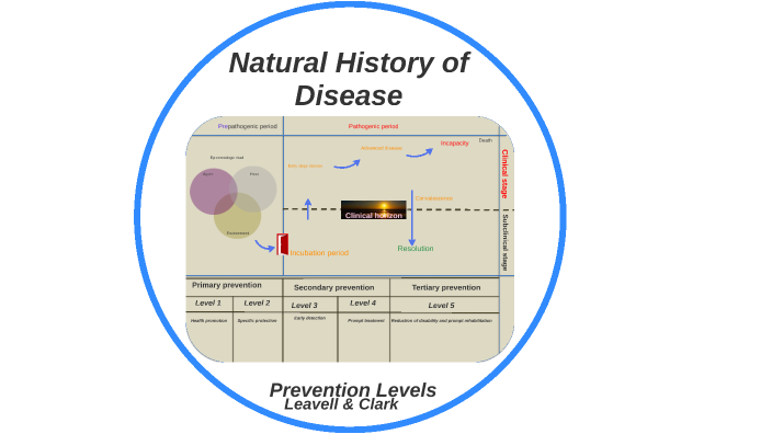 Natural History of Disease (Leavell and Clark) and Prevention Levels by Gerardo Gonzalez on Prezi