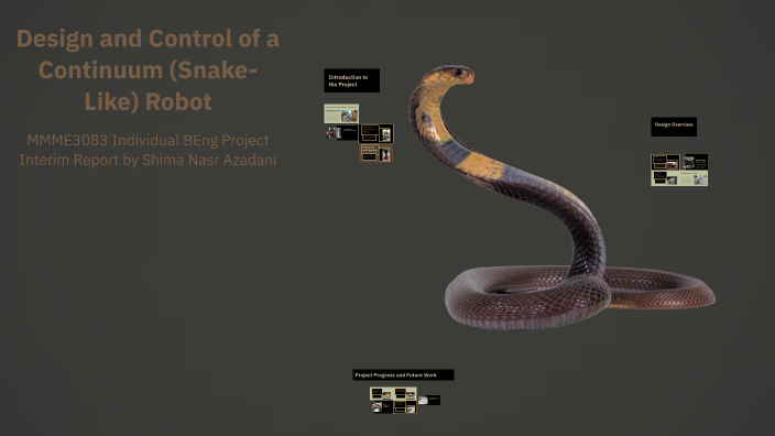 Design and Control of a Continuum (Snake-Like) Robot by Shima Nasr ...