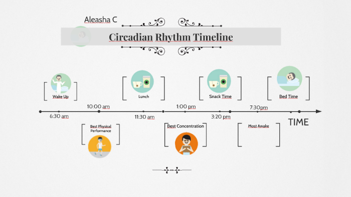 Circadian Rhythm Timeline by Alea Call on Prezi