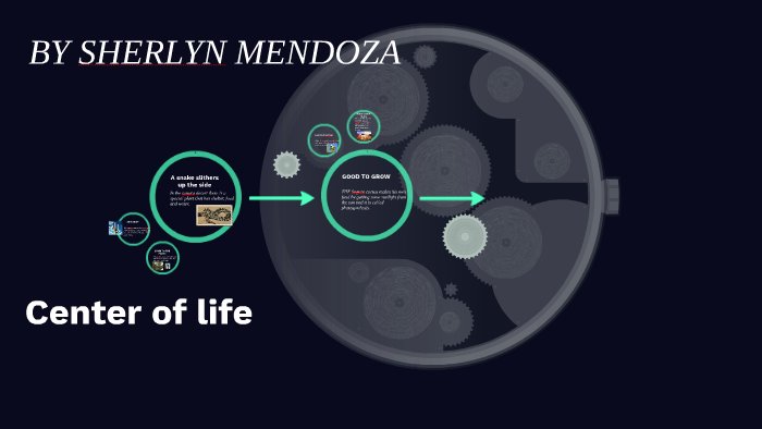 Center of life by Sherlyn Mendoza on Prezi