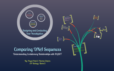 Ap Biology Comparing Dna Sequences By Payal Patel On Prezi