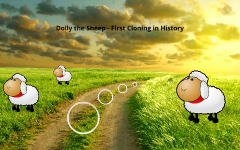 Dolly the Sheep - First Cloning in History by Jade Allen on Prezi