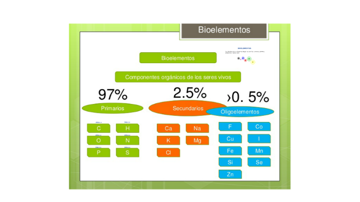 Los bioelementos o elementos biogénicos son los elementos qu by Bryan ...