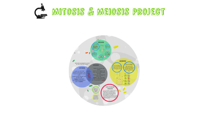 Mitosis & Meiosis Project by thanit jarupattanasirikul on Prezi