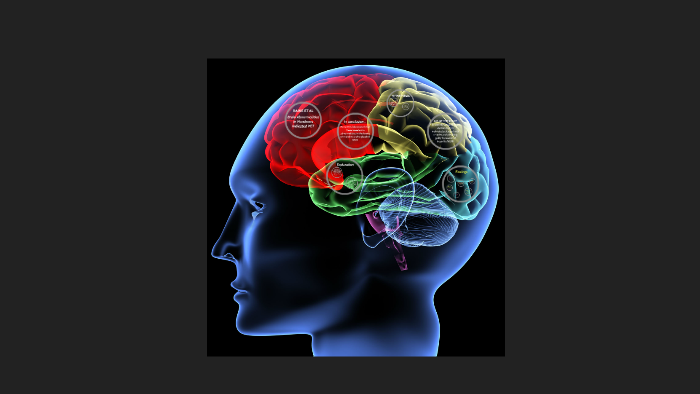 RAINE ET AL by Sophie Lewis on Prezi