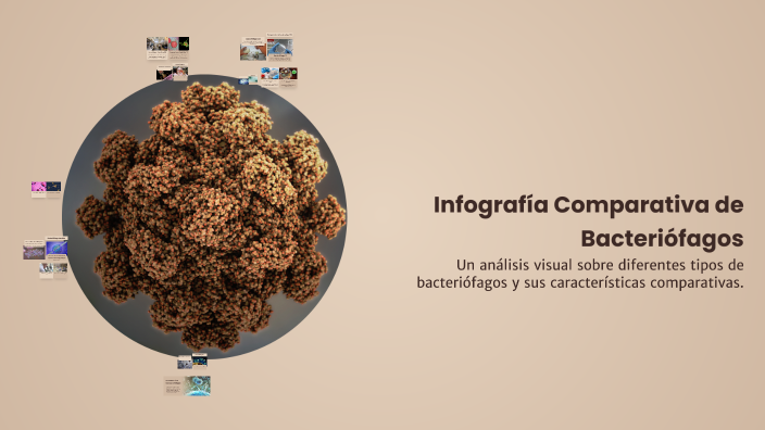 Infografía Comparativa de Bacteriófagos by Alejandro Muñoz on Prezi