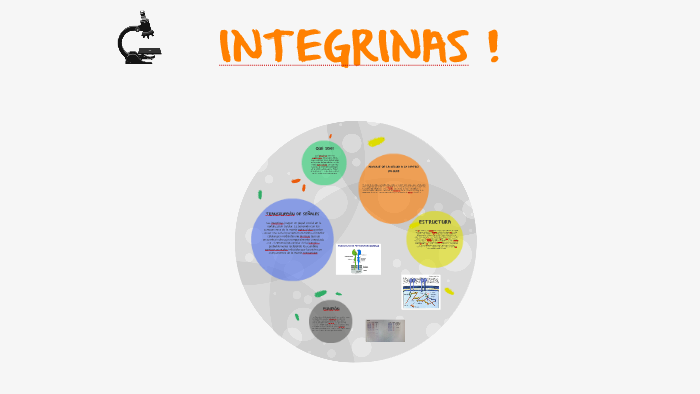 INTEGRINAS ! by alejandro correa on Prezi