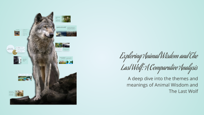 Exploring Animal Wisdom and The Last Wolf: A Comparative Analysis by ...