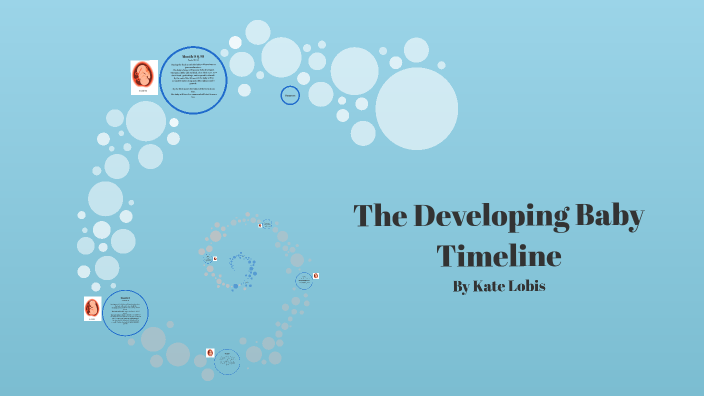 Developing Baby TImeline by Kate Lobis on Prezi