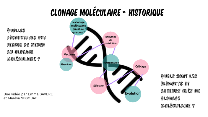 Historique Clonage Moléculaire by Mareva Segouat on Prezi
