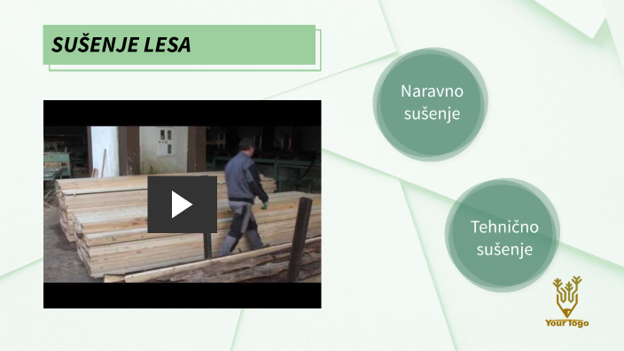 SUŠENJE LESA by Daniel Petric on Prezi