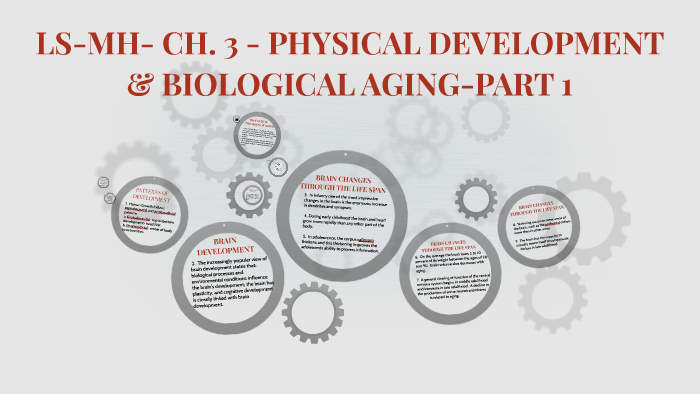 LS-MH- CH. 3 - PART 1- PHYSICAL DEVELOPMENT & BIOLOGICAL AGING-PART 1 by Linda Olson on Prezi