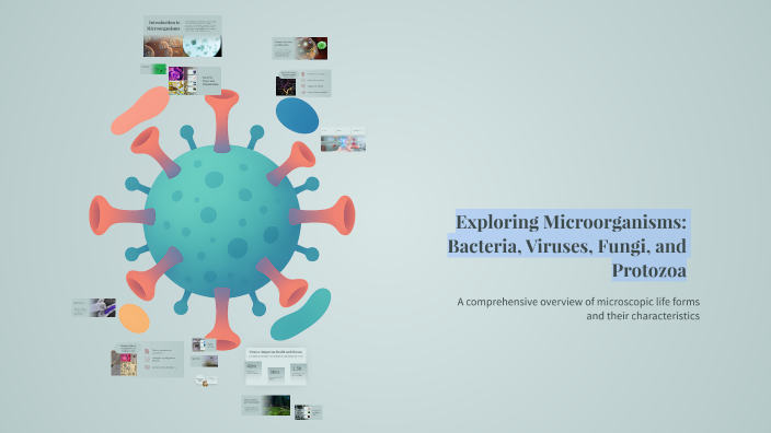 Exploring Microorganisms: Bacteria, Viruses, Fungi, and Protozoa by ...