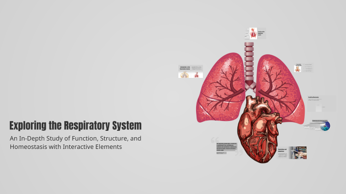 Exploring the Respiratory System by Suzan Talaat on Prezi